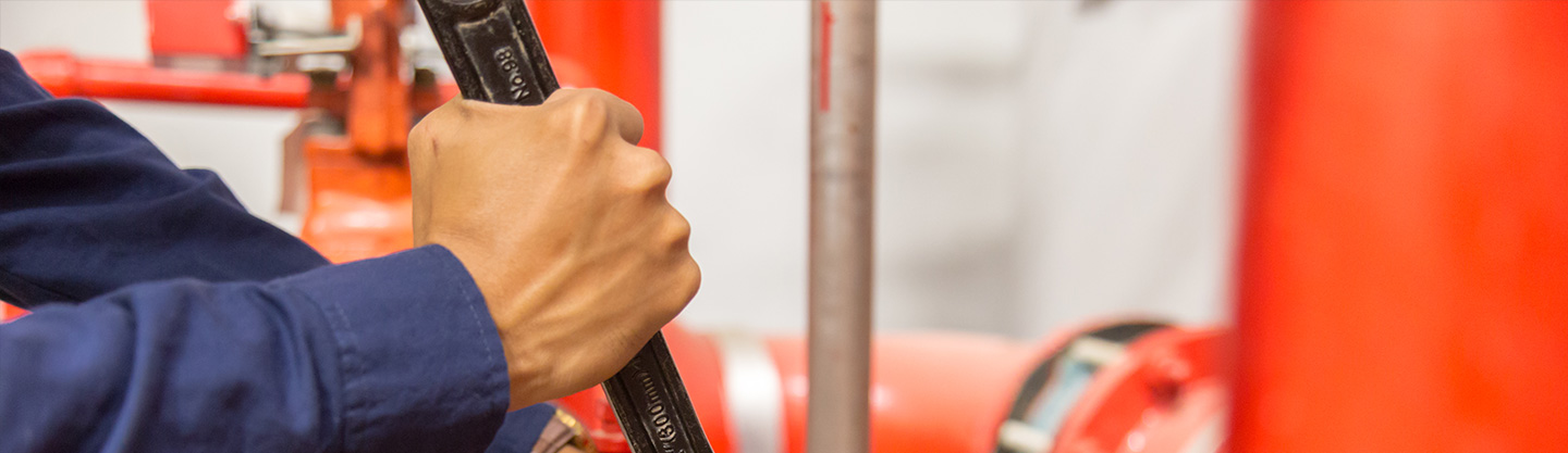 Our Brands | Roda Nurmala